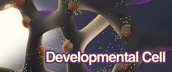 Dev Cell | 南方医科大学白晓春/邹志鹏团队蛋白组学揭示骨肉瘤发生的新机制 - 知乎