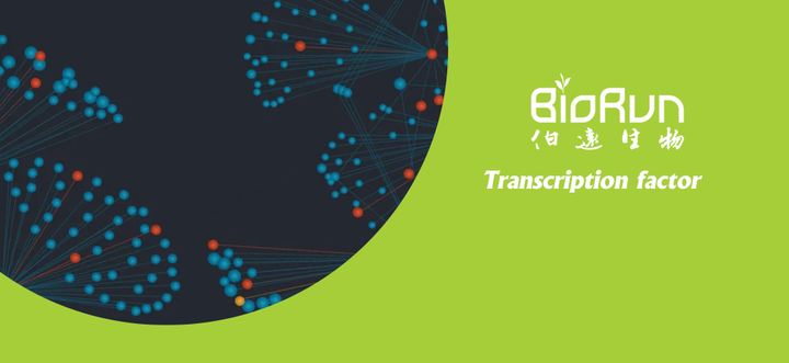 转录因子研究套路（三） - 知乎