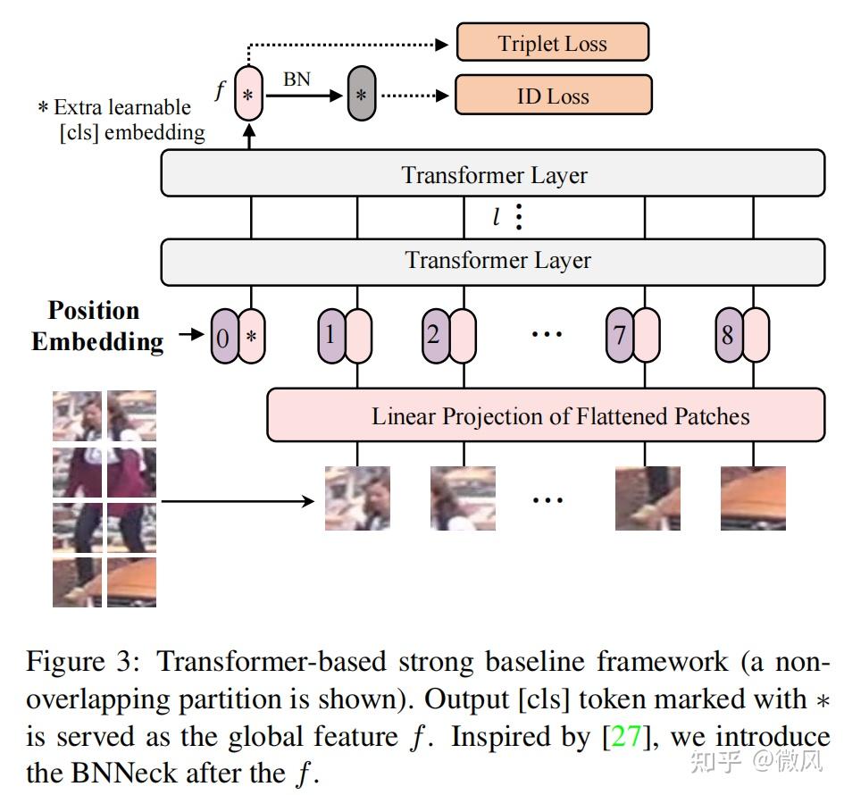 【论文笔记】TransReID: Transformer-based Object Re-Identifification - 知乎