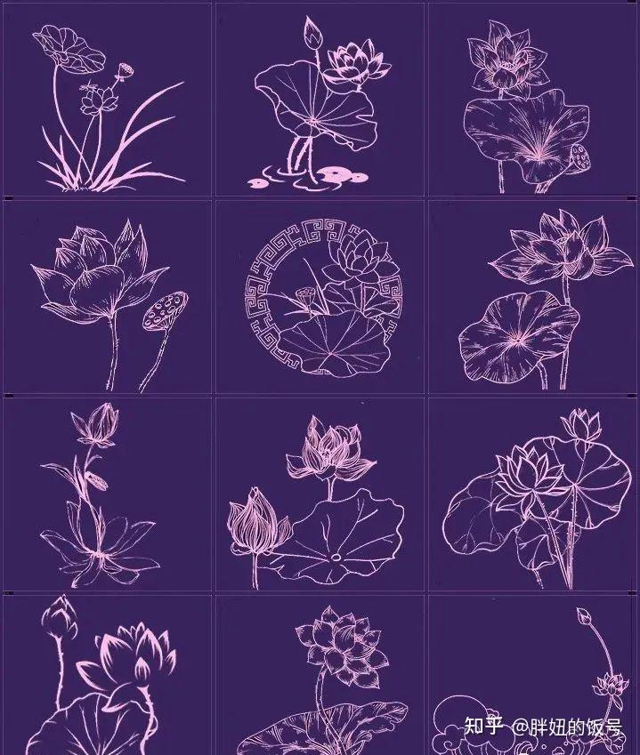 PS+procreate各种绝美花卉线稿笔刷 - 知乎