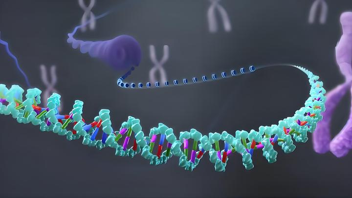 翻译组学测序研究利器|Ribo-seq&Polysome-seq - 知乎