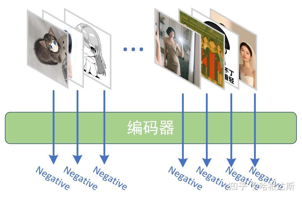 一文贯通图像对比学习技术——从InstDisc、MoCo、SimCLR到DINO系列 - 知乎