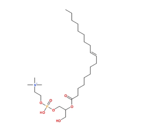 DLPC-PEG-COOH/OH/NH2/SH/CHO/so3h/CHO/CO二亚油酰磷脂酰胆碱-聚乙二醇-官能团 - 知乎