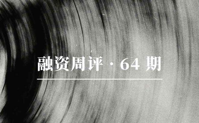 Web3Caff 每日精选：融资周评、交易所 Web3 钱包调研报告、Avail 会是模块化公链的终局叙事么？ - 知乎