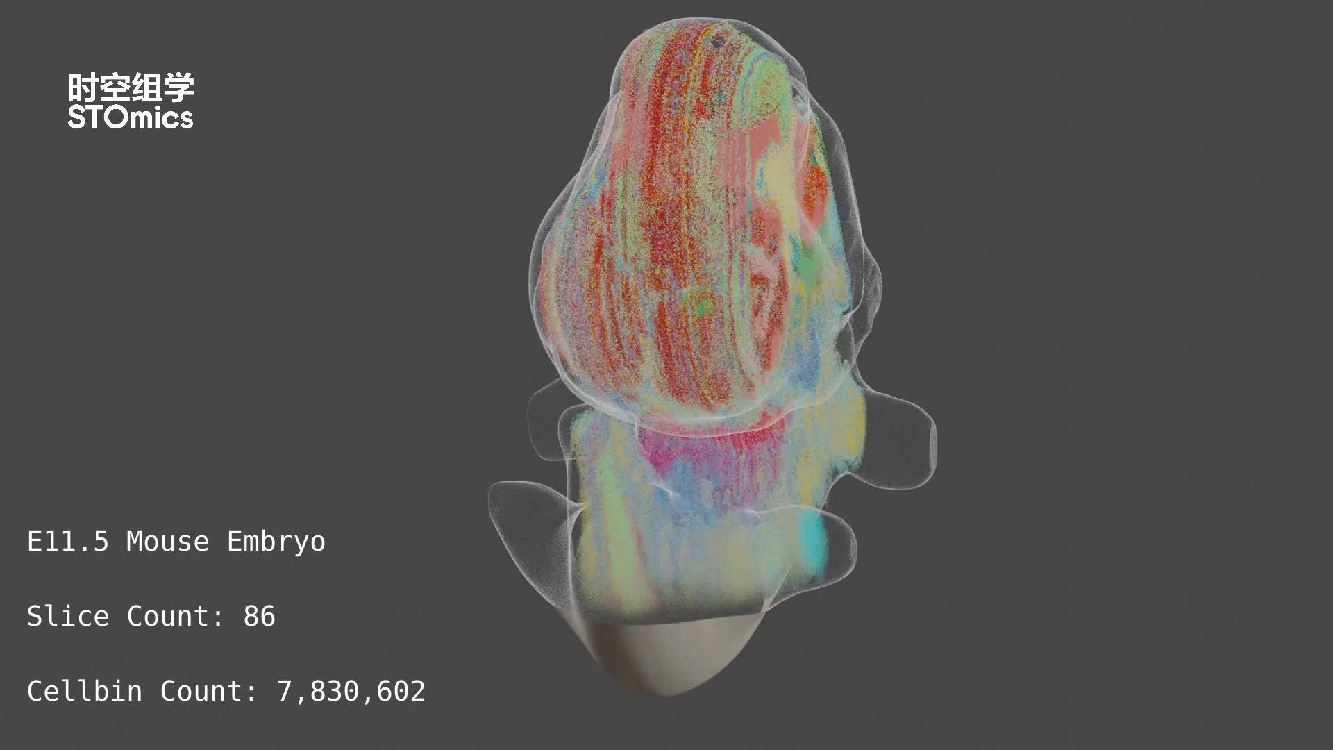 CSCB 2023 | 时空组学高精度3D重构，赋能生命科学新发现 - 知乎