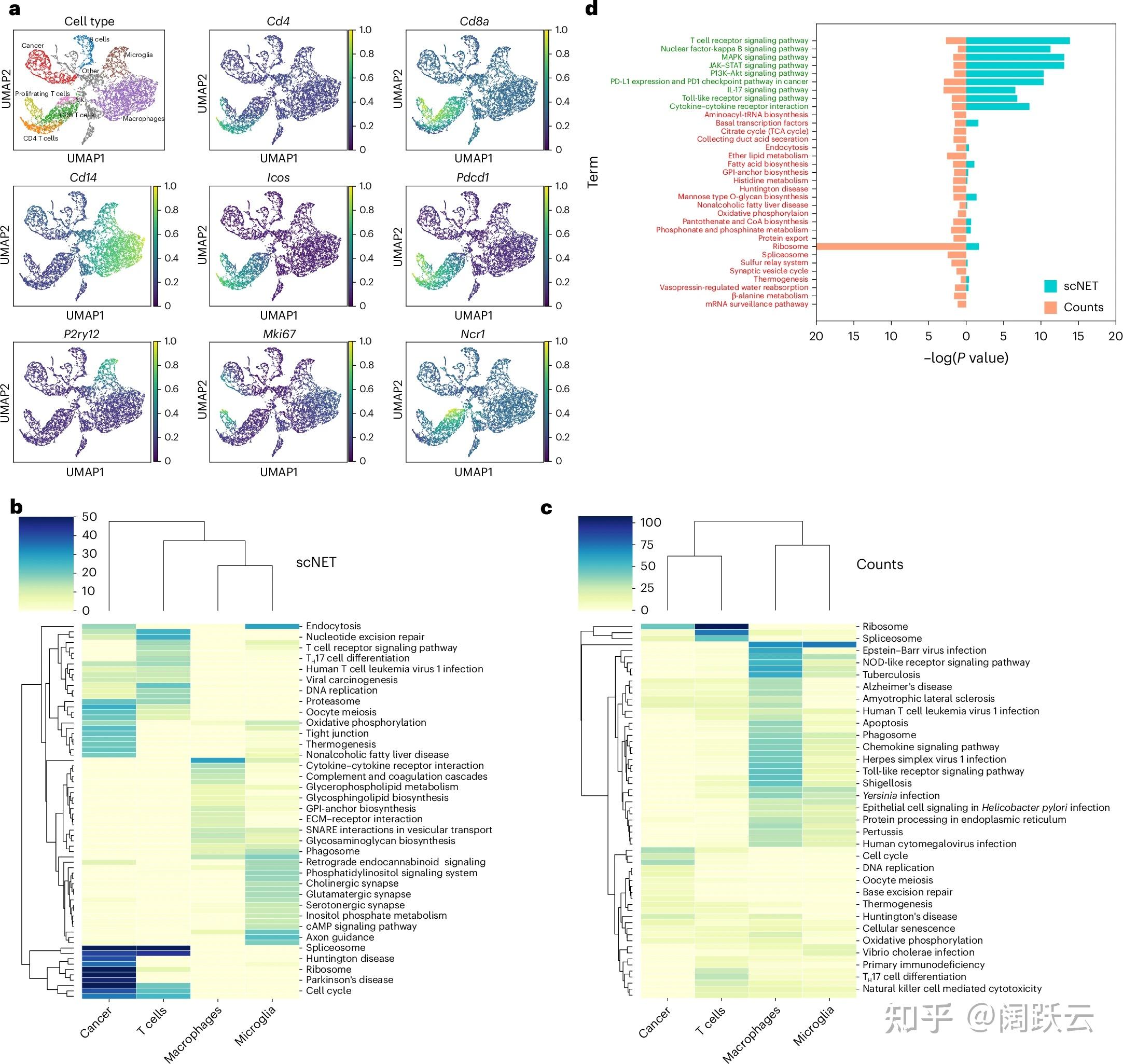 「单细胞+PPI」革命性整合！Nature Methods新作scNET：双视角GNN破解 - 知乎