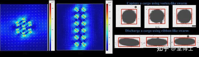 IEEE TRO发表！香港中文大学团队提出可重构微纳机器人集群方案，实现高精度自动化微操作！ - 知乎