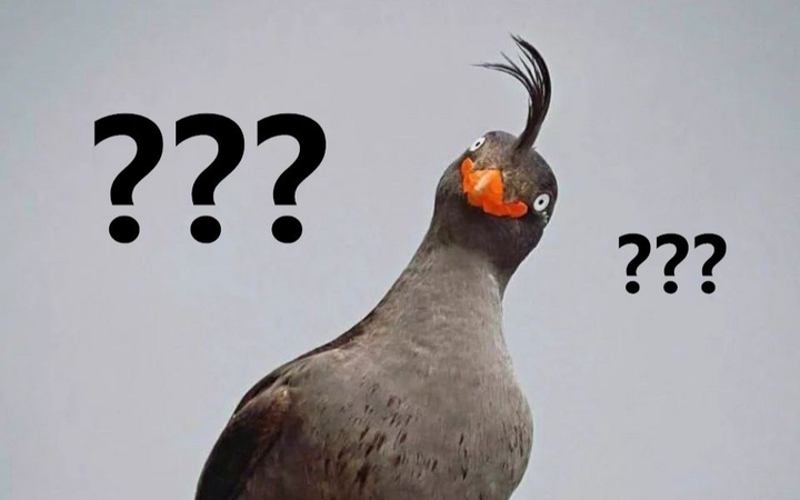 涨知识！大学联盟里面的“C9、E9、Z14、G7...”都是啥？ - 知乎