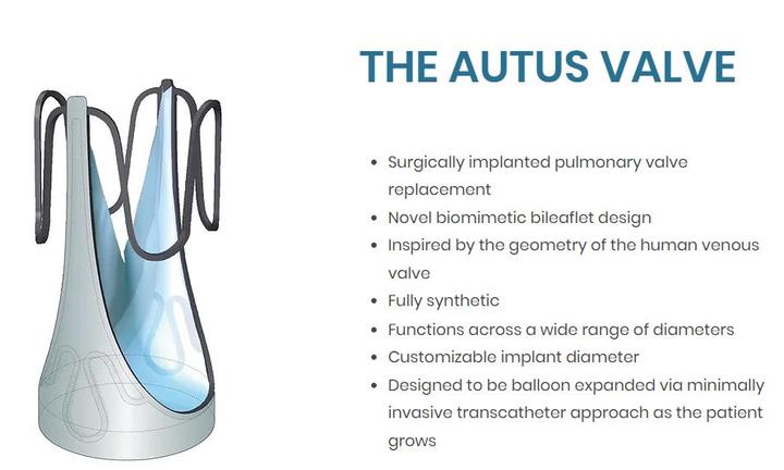 Autus肺动脉瓣：可随身体调整大小，获 FDA批准进行临床 - 知乎