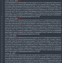 R中fasta文件的导入与导出 - 知乎