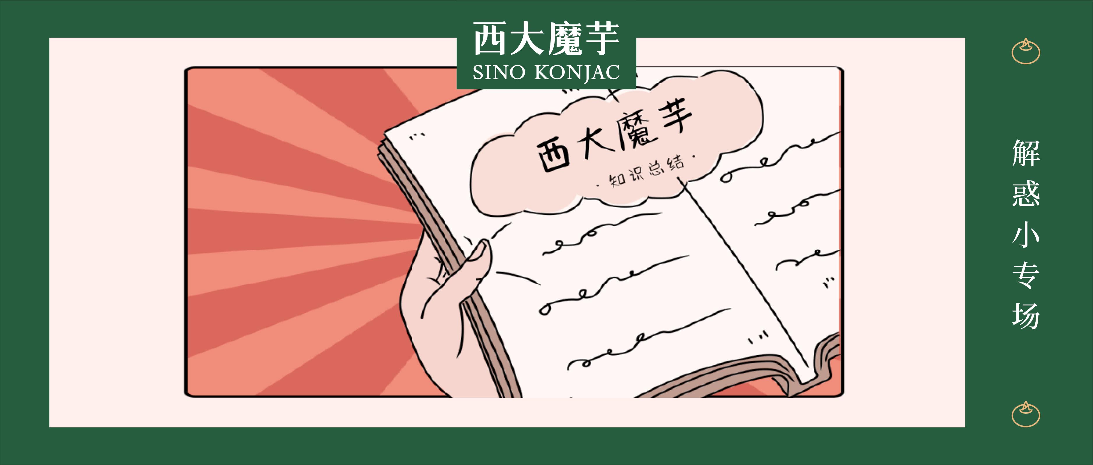 关于魔芋结，你想知道的都在这里！ 知乎
