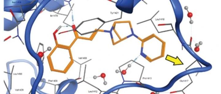合成致死靶点SMARCA2: PROTAC蛋白降解剂 (专利综述) - 知乎