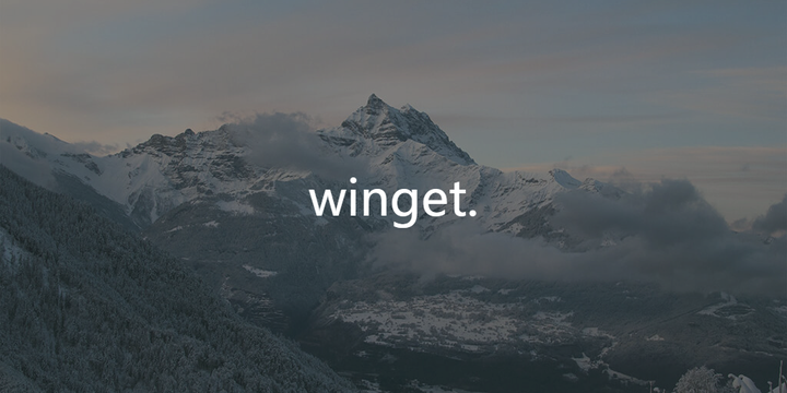 如何使用winget彻底替代各种管家的软件管理工具 - 知乎