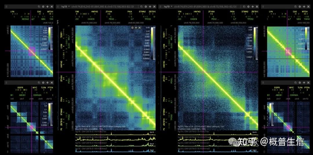 Hi-C数据的可视化工具汇总 - 知乎