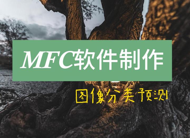 使用MFC编写一个paddleclas预测软件 - 知乎