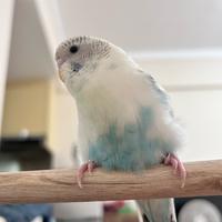 01 第一个vtk 程序 及STL 文件的显示 - 知乎