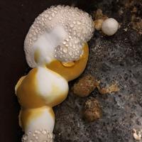 【Unity】协程底层机制,嵌套协程原理,WaitForSeconds等YeildInstruction原理 - 知乎