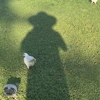 深入剖析 Go 接口底层实现：从 eface 到 iface（基于 Go 1.24 源码） - 知乎