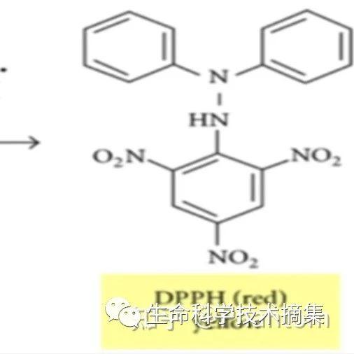体外清除自由基实验protocol-ABTS和DPPH法 - 知乎