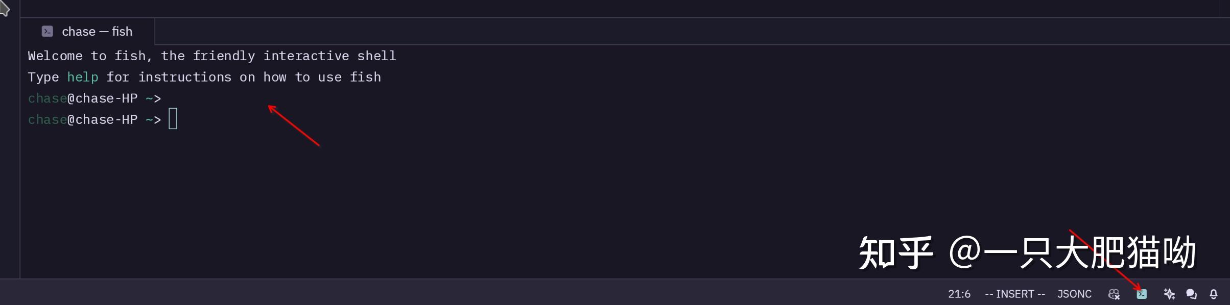 Linux下安装zed编辑器体验及插件调试等相关配置 - 知乎