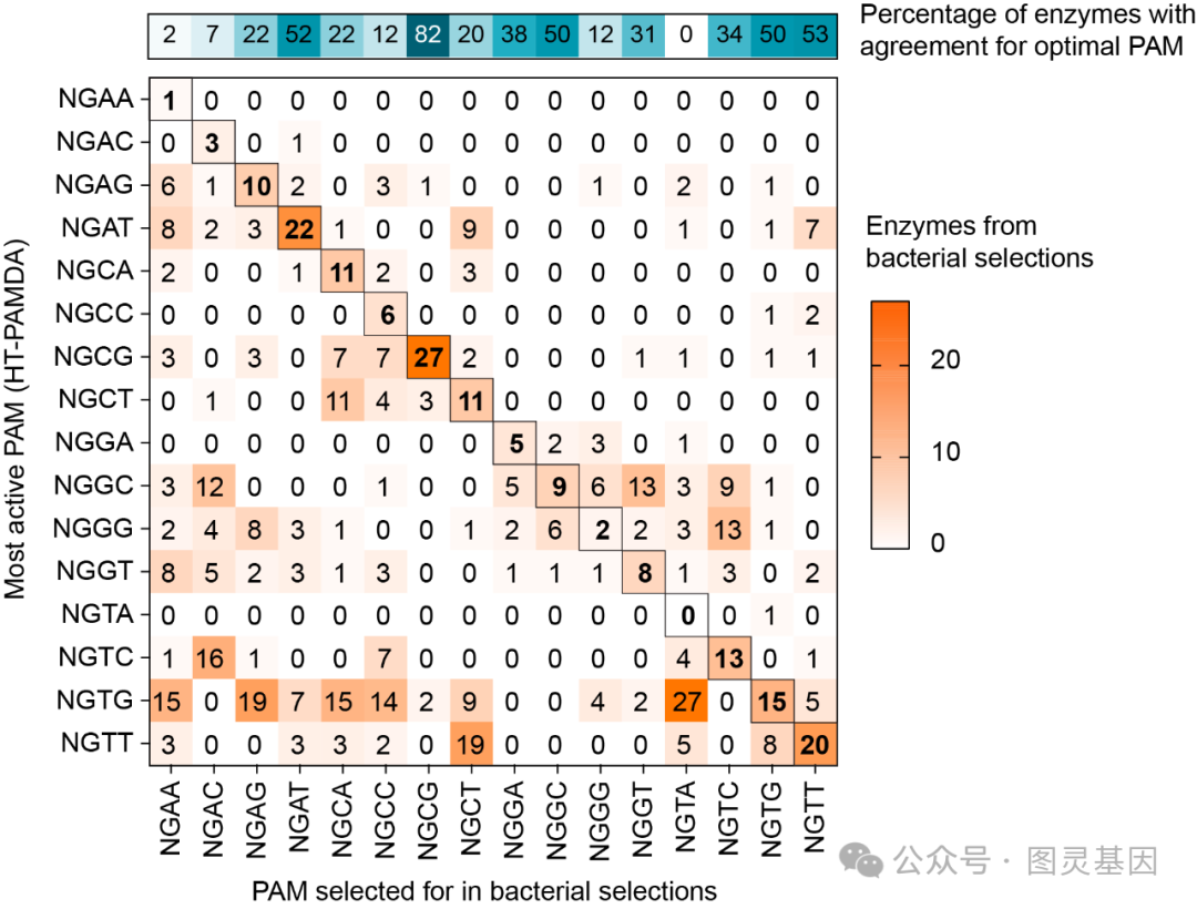 Nature | 通过可扩展的工程和机器学习定制CRISPR-Cas9 PAM变体 - 知乎