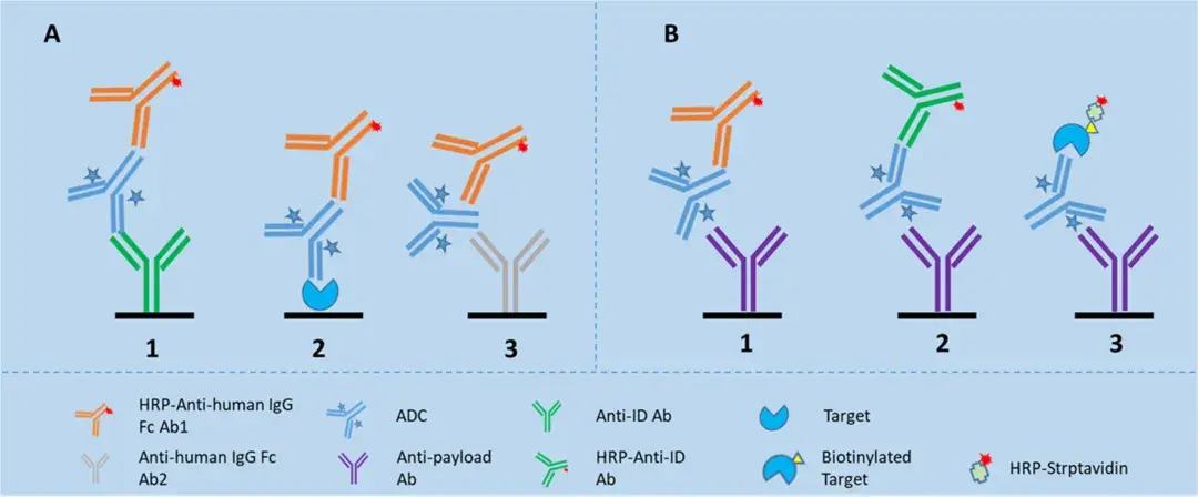 生物分析 | 抗体偶联药物ADC的PK生物分析挑战以及DAR 敏感性考量 - 知乎