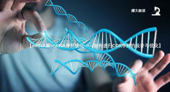 【耀文解读】mRNA篇|mRNA序列优化——如何进行CDS序列的设计与优化 - 知乎