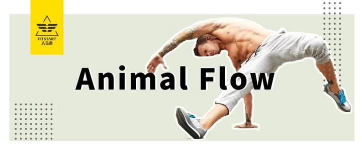 风靡全球的“Animal Flow”，有趣还管用！ - 知乎