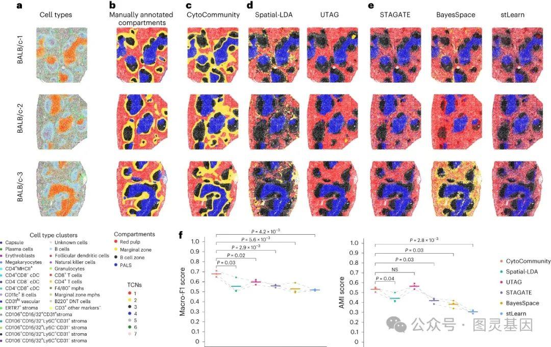 Nat Met | AI识别细胞邻域如何组织，以及与临床结果的关联 - 知乎