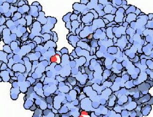 Protein A/Cy3，CY3标记蛋白A，Cyanine3-Protein - 知乎