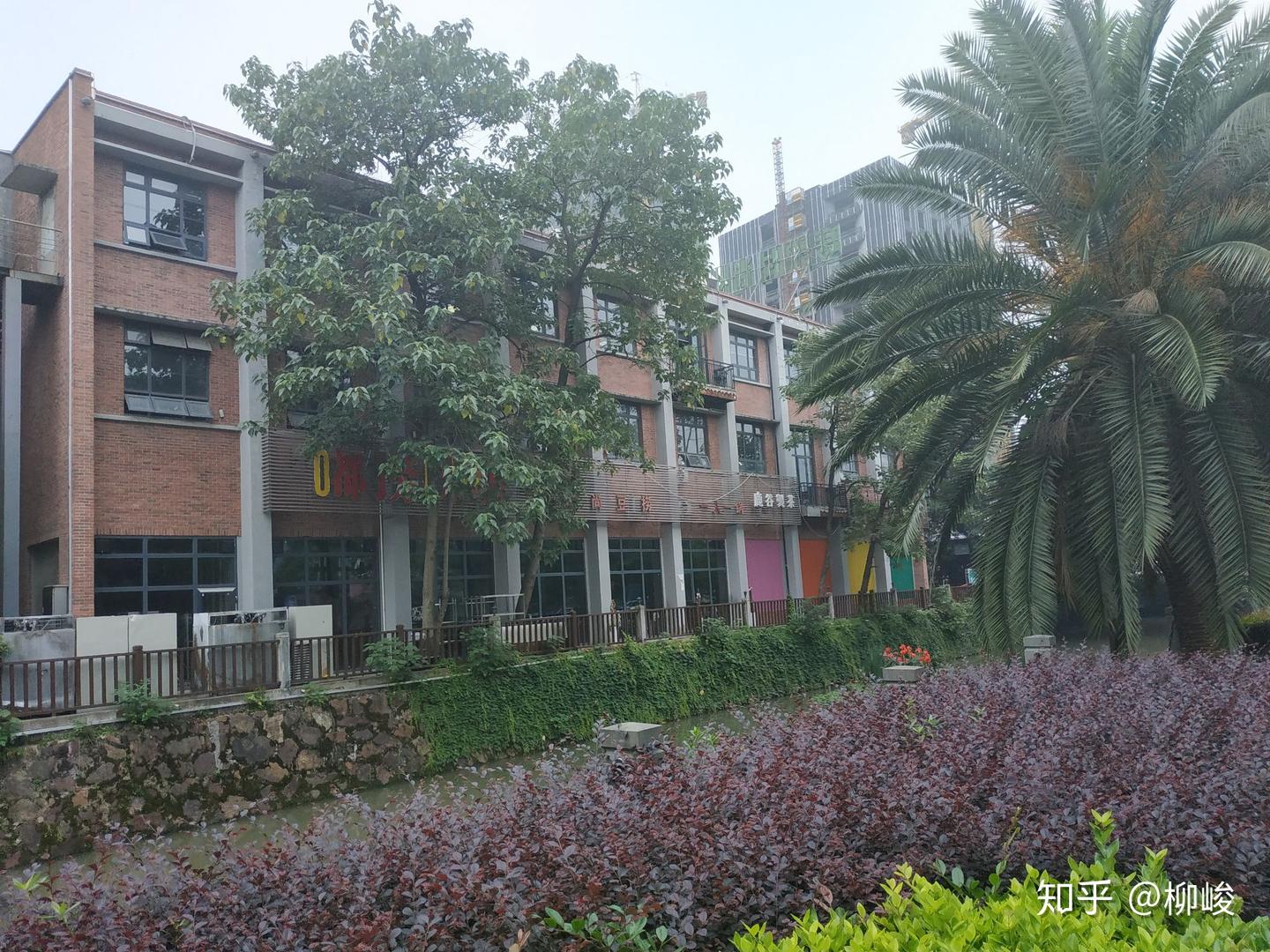 梅堰渔火永相传 - 知乎