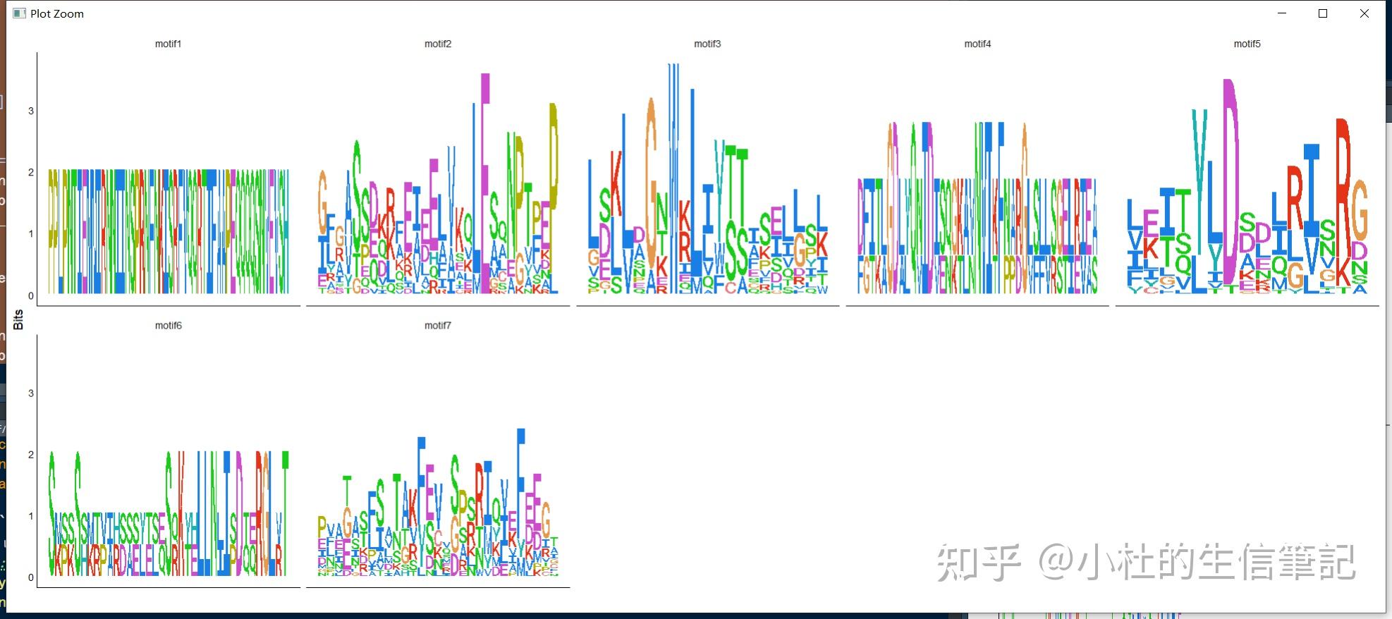 如何准确理解基因家族、基因簇、scaffold、motif？ - 知乎