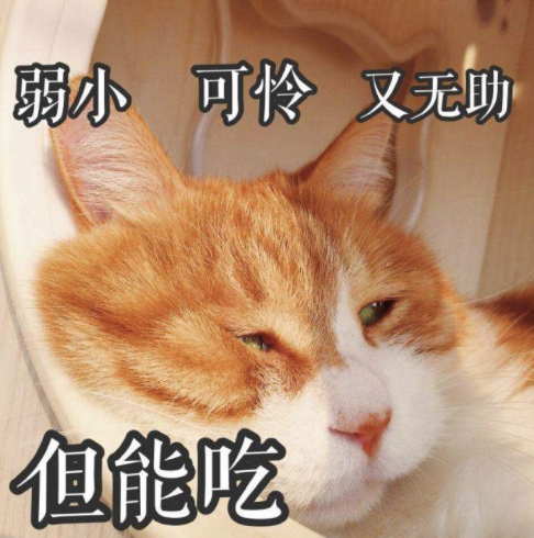 ICLR'22| 基于知识图谱的蛋白质预训练框架（Eng. Ver） - 知乎