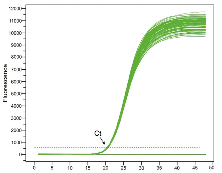 一文讲清qPCR（荧光定量PCR）的Ct值 - 知乎