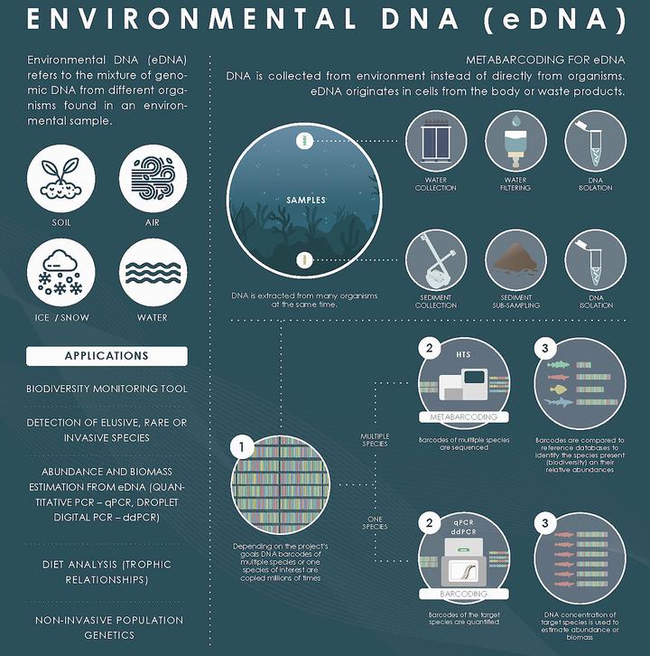 环境DNA：其在海洋环境渔业评估中的应用现状 - 知乎