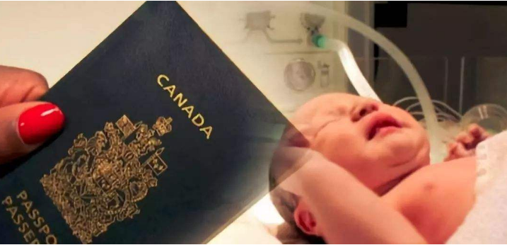 加拿大生孩子利弊 - 知乎