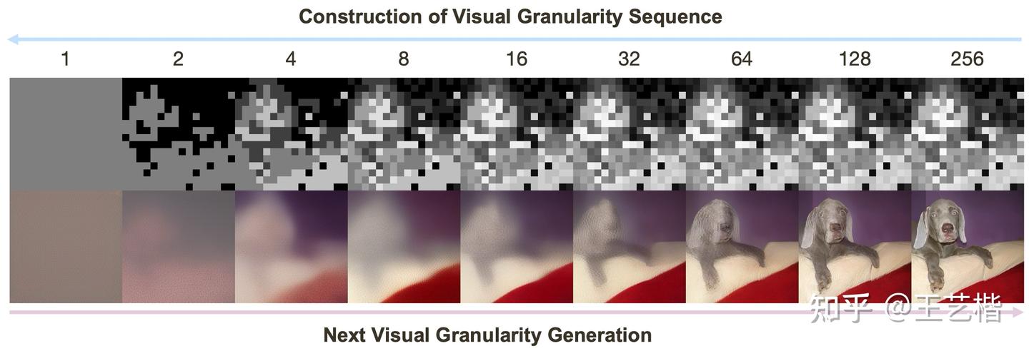 Next Visual Granularity Generation: 一种结构递进的图像生成方法 - 知乎