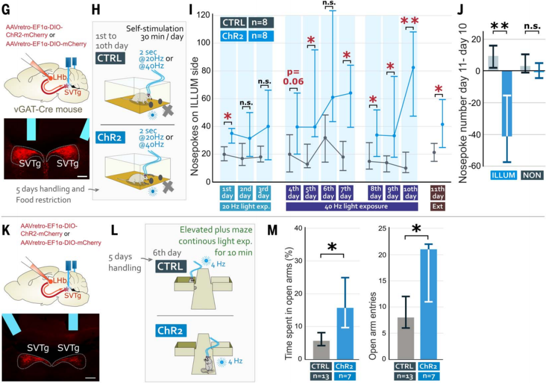 客户文章丨Science丨揭秘新奖赏中枢：从神秘核团到情绪密码 - 知乎