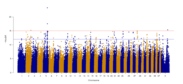 WGS/WES/GWAS高阶玩法 - 知乎