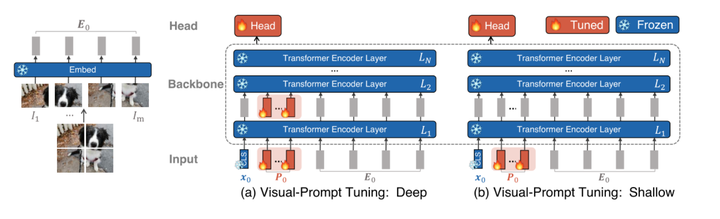 《Visual Prompt Tuning》视觉prompt - 知乎