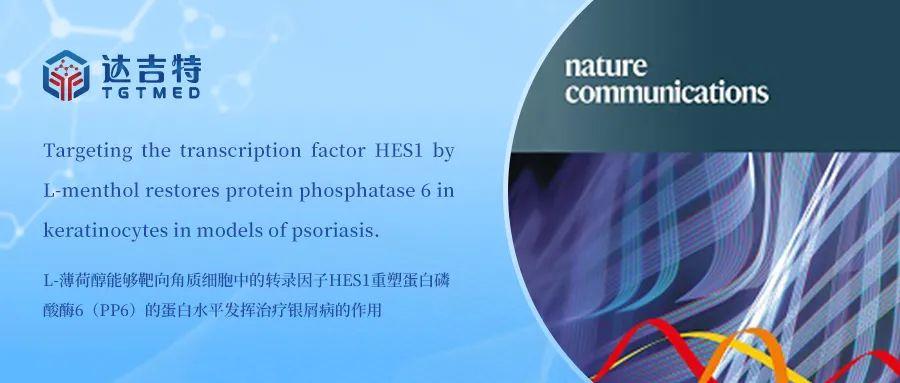 Nat Commun：同济大学发现杜鹃素靶向激活UCHL3促进DNA修复 - 知乎