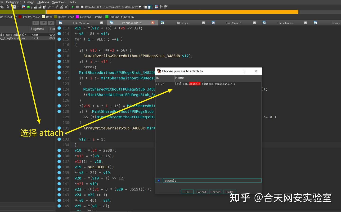 【flutter对抗】blutter使用+ACTF习题 - 知乎