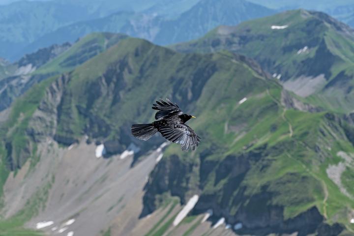 戴明管理精粹：经典语录（一） - 知乎