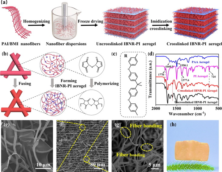 东华大学王荣武&中原工学院郑瑾&何建新J. Colloid Interface Sci.：PAI/BMI纳米纤维增强聚酰亚胺气凝胶的合成及其高低温隔热性能 - 知乎