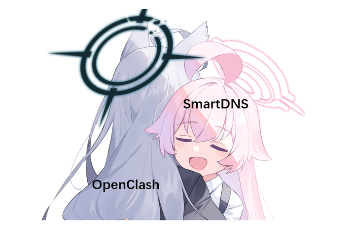 OpenClash+SmartDNS在旁路由场景下的配置 - 知乎