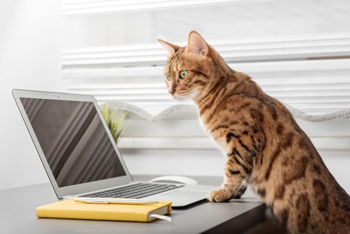 使用jps查看Java进程小分享 - 知乎