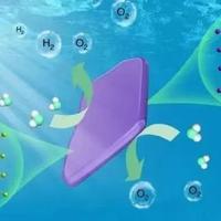 JACS：Co3O4酸性OER电催化剂瞬态溶解过程 - 知乎