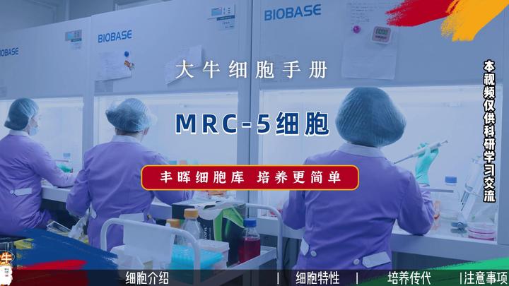 MRC-5细胞培养，人胚肺成纤维细胞培养攻略-丰晖生物 - 知乎