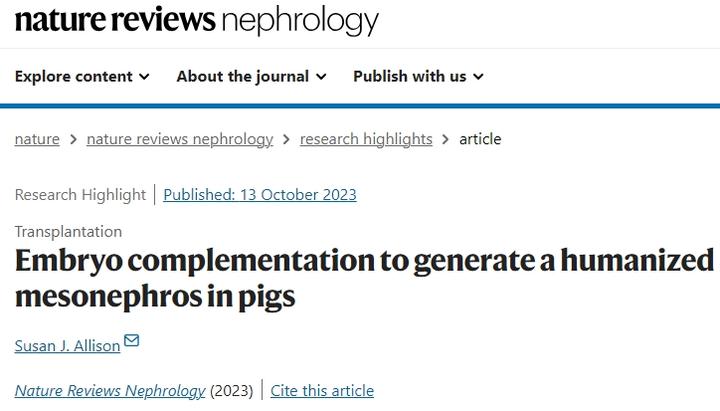 Nat Rev Nephrol | 最新发现：对猪-人肾异种移植物的免疫反应 - 知乎