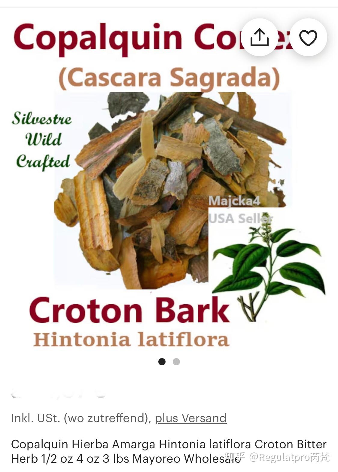 每天认识一种健康植物，Hintonia Latiflora胰岛素木，网上关于它的知识大多是错的！ - 知乎